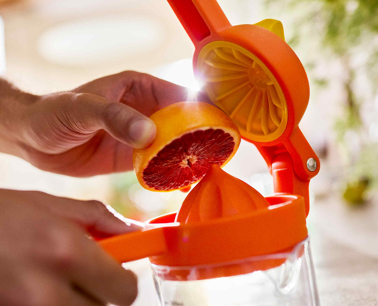 Citrus Press with Measuring Cup | Joseph Joseph EU